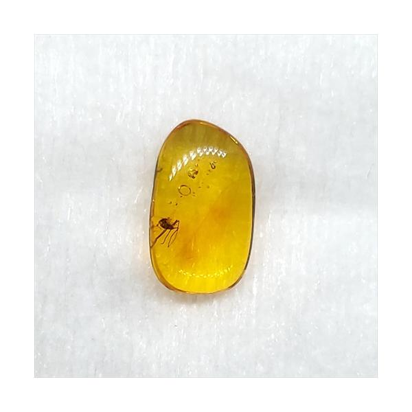 ■虫入り琥珀〈Insects in Amber〉【化石の大きさ】11×7×3mm【虫の大きさ】約2mm（一番長い部分）【化石産地】Balttic Sea バルト海沿岸沿【英名】Insects in Amber【時代】古第三紀・漸新世（Oli...