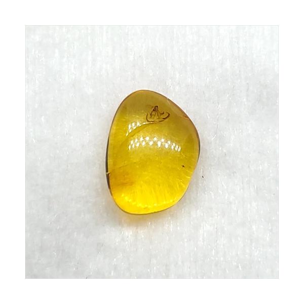 ■虫入り琥珀〈Insects in Amber〉【化石の大きさ】11×7×3.5mm【虫の大きさ】約1.2mm（一番長い部分）【化石産地】Balttic Sea バルト海沿岸沿【英名】Insects in Amber【時代】古第三紀・漸新世...