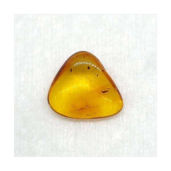 ■虫入り琥珀〈Insects in Amber〉【化石の大きさ】11×10×3mm【虫の大きさ】約1mm（一番長い部分）【化石産地】Balttic Sea バルト海沿岸沿【英名】Insects in Amber【時代】古第三紀・漸新世（Ol...