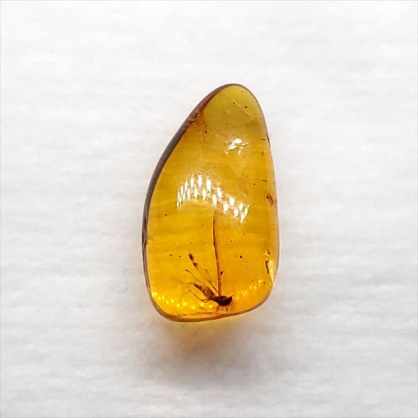 ■虫入り琥珀〈Insects in Amber〉【化石の大きさ】13.28×7.58×5.06mm【虫の大きさ】約2.8mm （一番長い部分）【化石産地】Balttic Sea バルト海沿岸沿【英名】Insects in Amber【時代】...