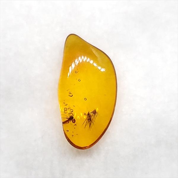 ■虫入り琥珀〈Insects in Amber〉【化石の大きさ】13.58×6.64×2.73mm【虫の大きさ】約2.5mm ×約2mm（一番長い部分）【英名】Insects in Amber【時代】古第三紀・漸新世（Oligocene）約...