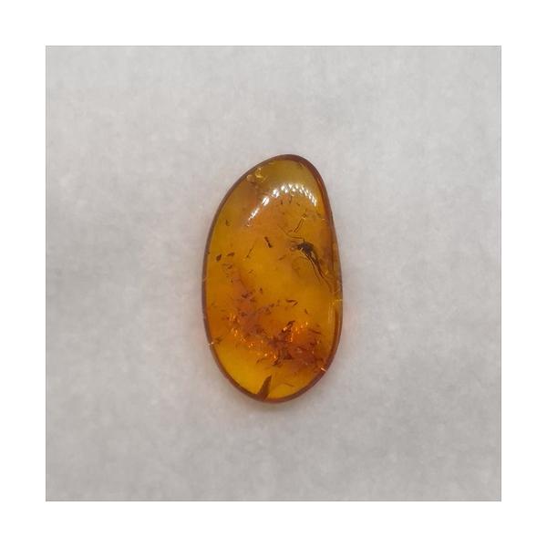 ■虫入り琥珀〈Insects in Amber〉【化石の大きさ】12.57×6.96×2.44mm【虫の大きさ】約2mm （一番長い部分）【英名】Insects in Amber【時代】古第三紀・漸新世（Oligocene）約3,000万年...