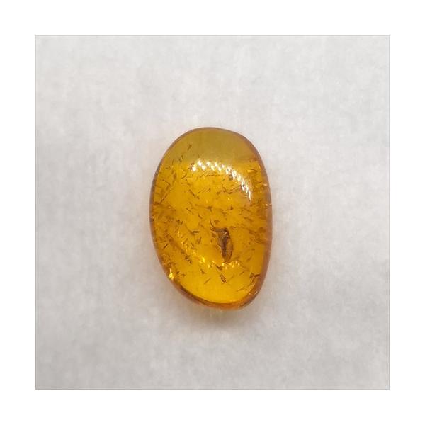 ■虫入り琥珀〈Insects in Amber〉【化石の大きさ】10.71×6.91×2.74mm【虫の大きさ】約2mm （一番長い部分）【英名】Insects in Amber【時代】古第三紀・漸新世（Oligocene）約3,000万年...