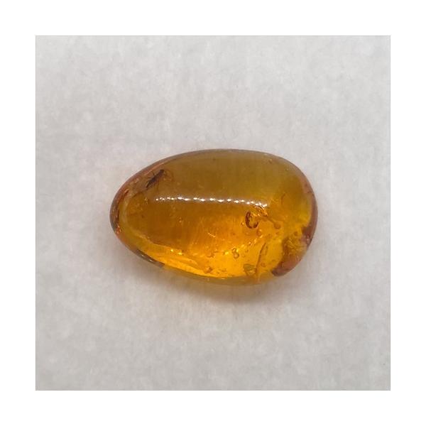 ■虫入り琥珀〈Insects in Amber〉【化石の大きさ】11.04×7.20×4.72mm【虫の大きさ】約2.5mm （一番長い部分）【英名】Insects in Amber【時代】古第三紀・漸新世（Oligocene）約3,000...