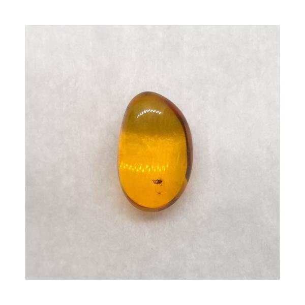 ■虫入り琥珀〈Insects in Amber〉【化石の大きさ】10.57×6.37×4.99mm【虫の大きさ】約1mm （一番長い部分）【英名】Insects in Amber【時代】古第三紀・漸新世（Oligocene）約3,000万年...