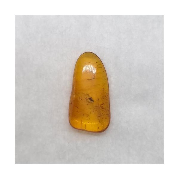 ■虫入り琥珀〈Insects in Amber〉【化石の大きさ】14.48×7.78×2.87mm【虫の大きさ】約1.5mm （一番長い部分）【英名】Insects in Amber【時代】古第三紀・漸新世（Oligocene）約3,000...