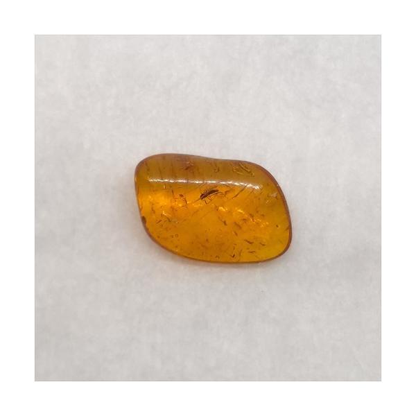 ■虫入り琥珀〈Insects in Amber〉【化石の大きさ】11.60×7.92×3.50mm【虫の大きさ】約1.68mm （一番長い部分）【英名】Insects in Amber【時代】古第三紀・漸新世（Oligocene）約3,00...
