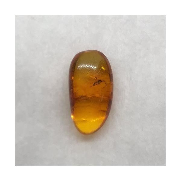 ■虫入り琥珀〈Insects in Amber〉【化石の大きさ】14.19×7.54×5.61mm【虫の大きさ】約2.23mm （一番長い部分）【英名】Insects in Amber【時代】古第三紀・漸新世（Oligocene）約3,00...