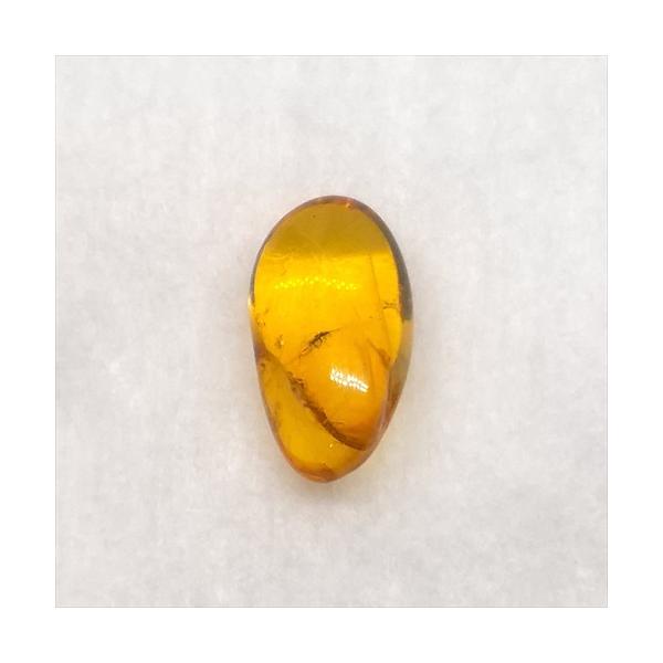 ■虫入り琥珀〈Insects in Amber〉【化石の大きさ】11.45×6.38×4.67mm【虫の大きさ】約1.3mm （一番長い部分）【英名】Insects in Amber【時代】古第三紀・漸新世（Oligocene）約3,000...
