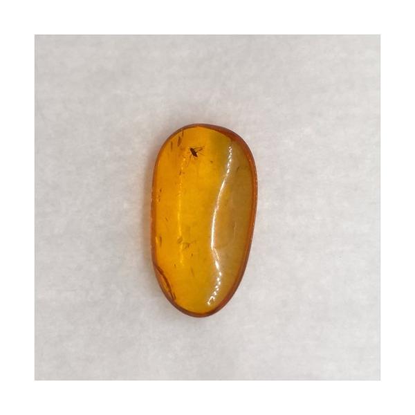 ■虫入り琥珀〈Insects in Amber〉【化石の大きさ】12.62×7.07×2.80mm【虫の大きさ】約1mm （一番長い部分）【英名】Insects in Amber【時代】古第三紀・漸新世（Oligocene）約3,000万年...