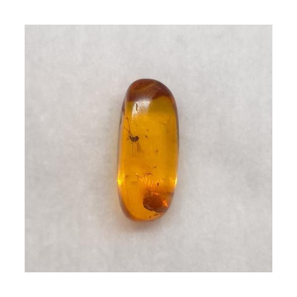 ■虫入り琥珀〈Insects in Amber〉【化石の大きさ】12.95×5.67×4.70mm【虫の大きさ】約1.5mm （一番長い部分）【英名】Insects in Amber【時代】古第三紀・漸新世（Oligocene）約3,000...