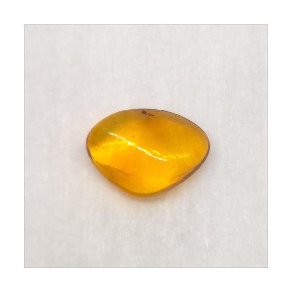■虫入り琥珀〈Insects in Amber〉【化石の大きさ】11.39×8.43×4.10mm【虫の大きさ】約2mm （一番長い部分）【英名】Insects in Amber【時代】古第三紀・漸新世（Oligocene）約3,000万年...