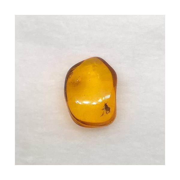 ■虫入り琥珀〈Insects in Amber〉【化石の大きさ】7.43×5.83×2.72mm【虫の大きさ】約1.5mm （一番長い部分）【英名】Insects in Amber【時代】古第三紀・漸新世（Oligocene）約3,000万...