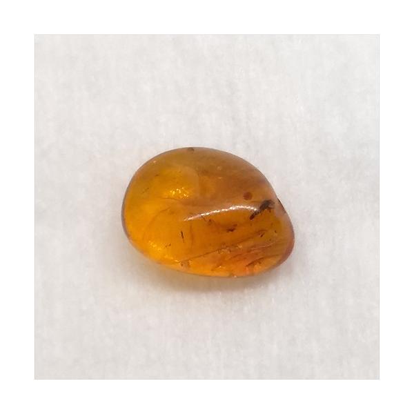 ■虫入り琥珀〈Insects in Amber〉【化石の大きさ】9.20×6.37×4.80mm【虫の大きさ】約2mm （一番長い部分）【英名】Insects in Amber【時代】古第三紀・漸新世（Oligocene）約3,000万年前...