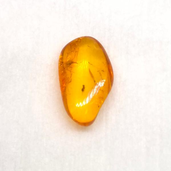 ■虫入り琥珀〈Insects in Amber〉【化石の大きさ】15.42×9×4.44mm【虫の大きさ】約2.7mm&amp;1.５mm （一番長い部分）【化石産地】Balttic Sea バルト海沿岸沿【英名】Insects in Am...