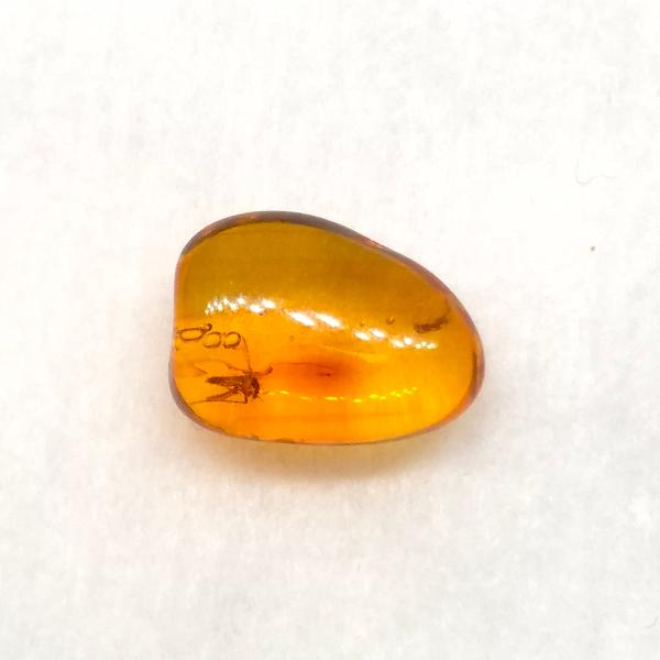 ■虫入り琥珀〈Insects in Amber〉【化石の大きさ】9.02×6.68×3.43mm【虫の大きさ】約1.8mm （一番長い部分）【化石産地】Balttic Sea バルト海沿岸沿【英名】Insects in Amber【時代】古...