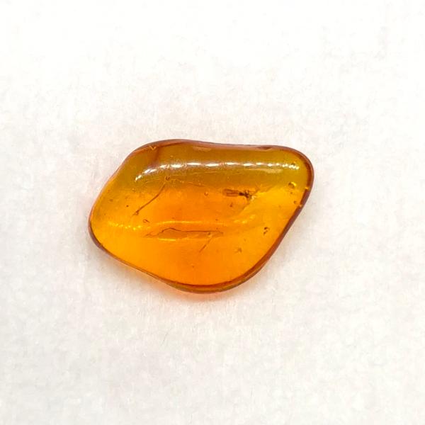 ■虫入り琥珀〈Insects in Amber〉【化石の大きさ】13.74×9.12×3.10mm【虫の大きさ】約2.2mm （一番長い部分）【化石産地】Balttic Sea バルト海沿岸沿【英名】Insects in Amber【時代】...