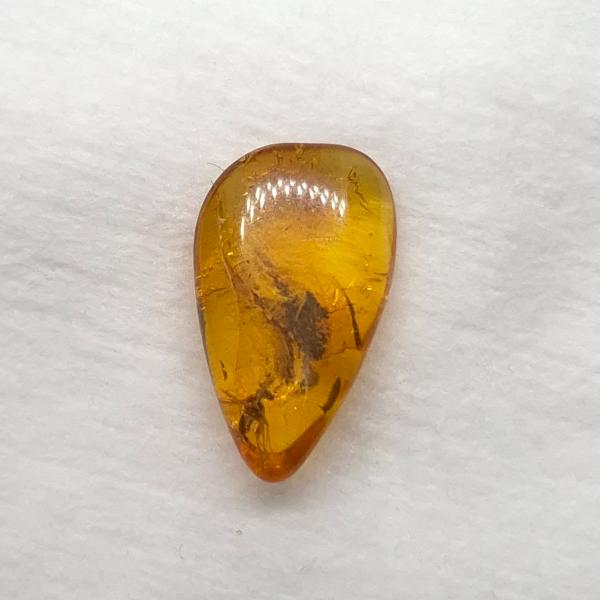 ■虫入り琥珀〈Insects in Amber〉【化石の大きさ】15.61×9.80×4.24mm【虫の大きさ】約3.2mm （一番長い部分）【化石産地】Balttic Sea バルト海沿岸沿【英名】Insects in Amber【時代】...