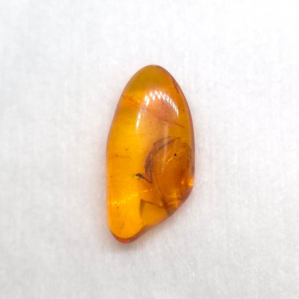 ■虫入り琥珀〈Insects in Amber〉【化石の大きさ】18.61×9.39×4.25mm【虫の大きさ】約2.6mm （一番長い部分）【化石産地】Balttic Sea バルト海沿岸沿【英名】Insects in Amber【時代】...