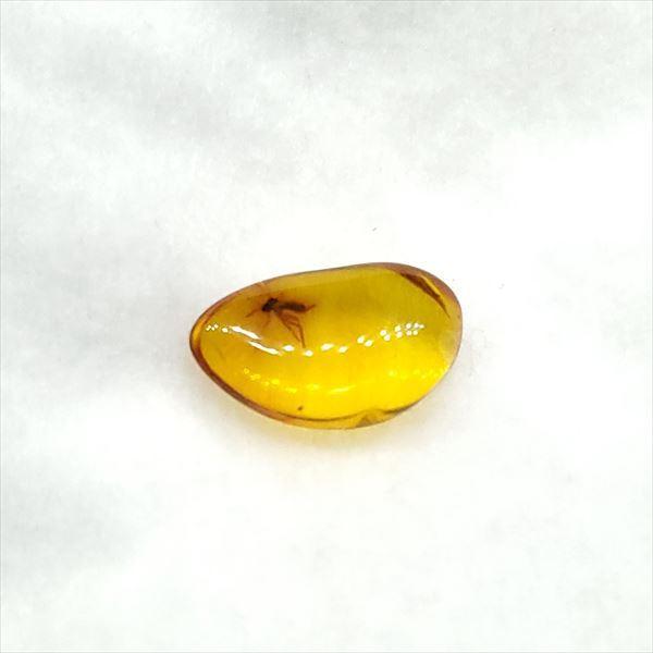 ■虫入り琥珀〈Insects in Amber〉【化石の大きさ】11.46×6.35×3.65mm【虫の大きさ】約2.50mm（一番長い部分）【化石産地】Balttic Sea バルト海沿岸沿【英名】Insects in Amber【時代】...