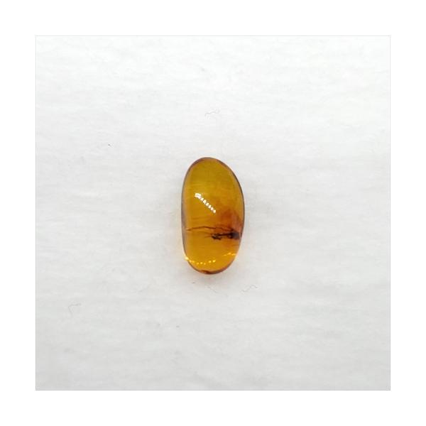 ■虫入り琥珀〈Insects in Amber〉【化石の大きさ】9.19×5.46×4.16mm【虫の大きさ】約2mm（一番長い部分）【化石産地】Balttic Sea バルト海沿岸沿【英名】Insects in Amber【時代】古第三紀...