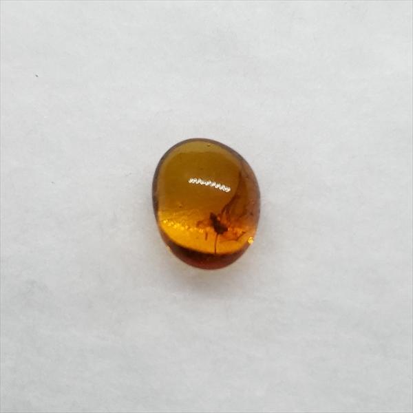 ■虫入り琥珀〈Insects in Amber〉【化石の大きさ】8.40×6.56×4.88mm【虫の大きさ】約1.5mm（一番長い部分）【化石産地】Balttic Sea バルト海沿岸沿【英名】Insects in Amber【時代】古第...