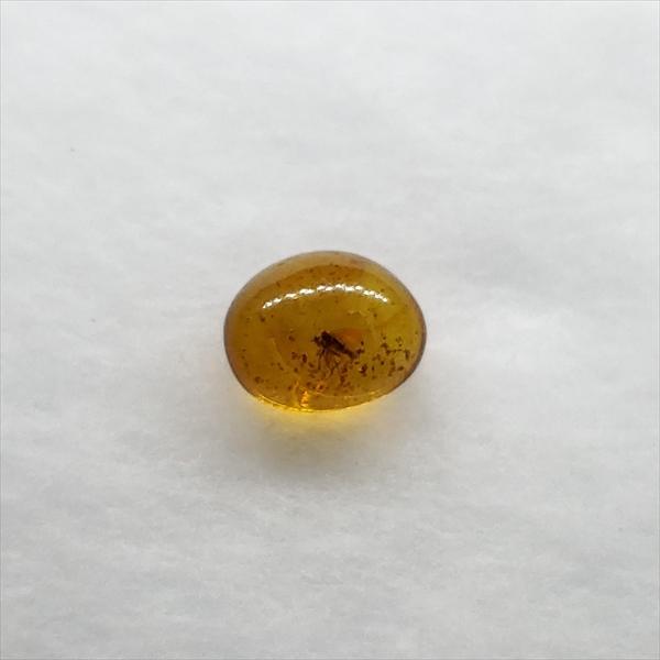 ■虫入り琥珀〈Insects in Amber〉【化石の大きさ】8.36×6.46×4.82mm【虫の大きさ】約2mm（一番長い部分）【化石産地】Balttic Sea バルト海沿岸沿【英名】Insects in Amber【時代】古第三紀...