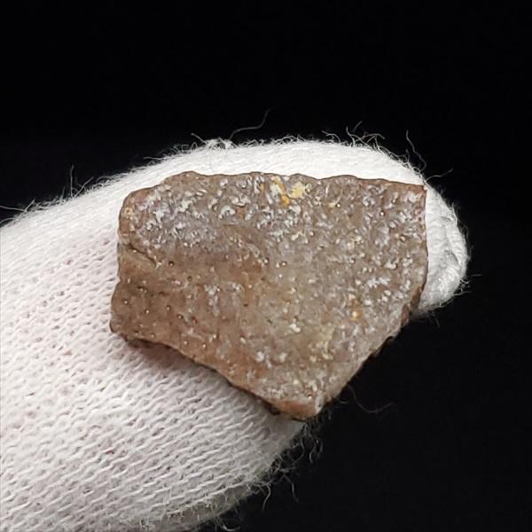 ■恐竜の卵の化石【化石の大きさ】15.61×12.57×2.27mm【化石産地】フランス【学名】Caironoolithusケース付属■CaironoolithusCaironoolithusはフランスで卵のみの化石が発見され、恐竜の種類に...