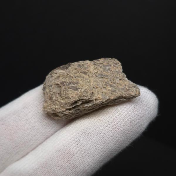 ■ティラノサウルスの骨の化石【化石の大きさ】30.14×17.63×12.03mm【化石の重さ】7g【化石産地】アメリカ■ティラノサウルスティラノサウルスは、最大級の肉食恐竜で有名です． ナイフのような歯は、歯根を含めると最大で約30cmあ...