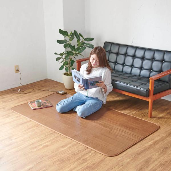 大人気の木目調ホットカーペットが、水をしっかり弾く防水タイプにパワーアップ！食べこぼしや汚れが気になるダイニングの足元や子ども部屋に。■防水表面にビニール素材を採用しているため、飲み物や食べ物をこぼしてもサッと拭き取れてお手入れも簡単。■ダ...