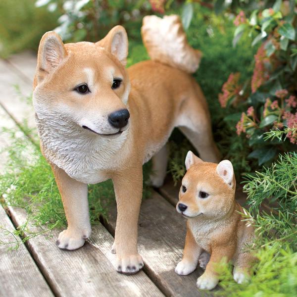 ≪子柴≫ 柴犬親子のオーナメント ガーデン 置物 ディノス dinos 人気 おしゃれ愛嬌のあるつぶらな瞳、かしこくて、飼い主に従順。古来より愛されてきた柴犬は、海外でも人気が高まっているとか。そんな柴犬を、お庭やベランダの番犬として飼って...