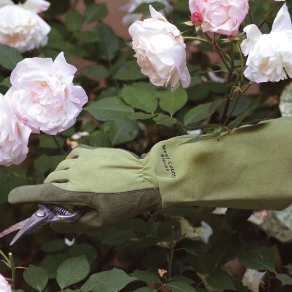 洗える！ ロングローズ手袋 ガーデニングウェア ディノス dinos 人気 おしゃれ薔薇専用のロング手袋◆棘を通しにくい厚手の合成皮革製。◆大きめにできている為、ダウンなど太い袖周りもカバー。◆ご自宅で洗濯可能。※汗や水などで濡れた状態で強...