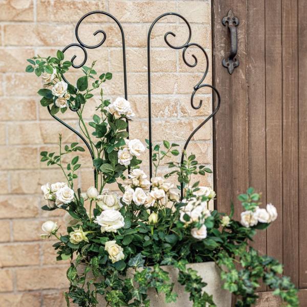 エンジェルウイングトレリス 2枚組 ガーデニンググッズ ディノス dinos 人気 おしゃれ天使の羽をイメージしてデザインしました◆2枚を左右対称に使うことで天使が羽を広げたように素敵なシーンが生まれる「エンジェルウィングトレリス」。◆トレ...