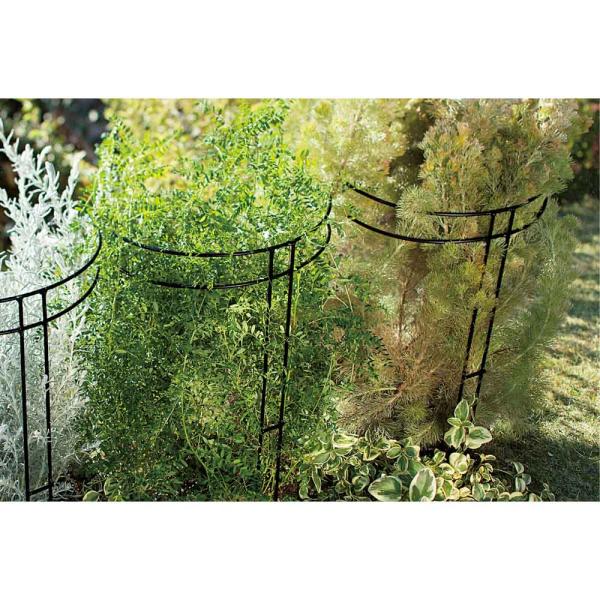 プランツサポート ビッグ 同色4本組 ガーデニンググッズ ディノス dinos 人気 おしゃれ◆大きめサイズなので横に広がりがちな草花や倒れやすい紫陽花等におすすめ。◆一番人気のビックサイズはリピーター続出！◆発育旺盛な植物にも、また台風や...