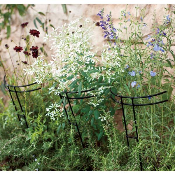 お試し！プランツサポート ミニ 4本組 ガーデニンググッズ ディノス dinos 人気 おしゃれ定植したてのバラや広がりがちな草花に、倒れないようにしっかりと苗を支えます。倒れやすい雨の時期にも活躍します！花の重さで茎が倒れてしまう・・・な...