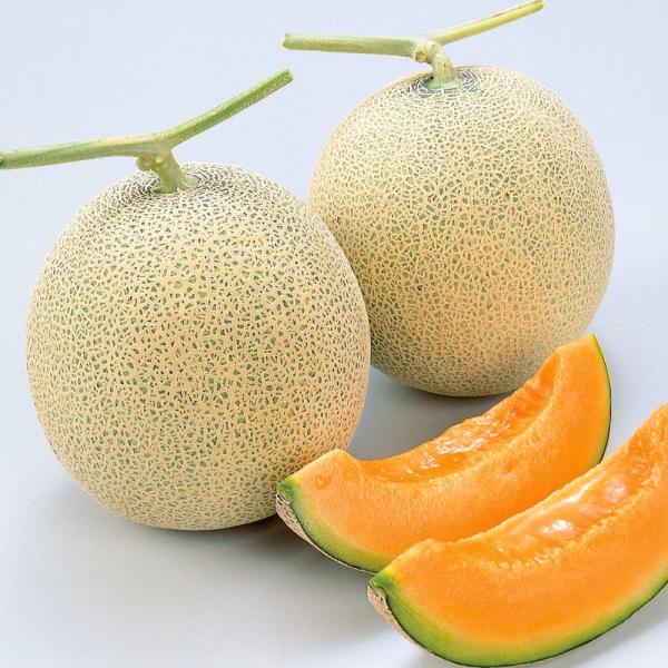 北海道産 訳あり赤肉メロン 3玉【8月上旬-9月上旬頃お届け】 野菜 果物 フルーツ  ディノス ディノス dinos 人気 おしゃれ■旬の北海道メロンをワケあり価格でお届けつるが折れていたり、ネットの張りが弱かったり、少し傷がついていたり...