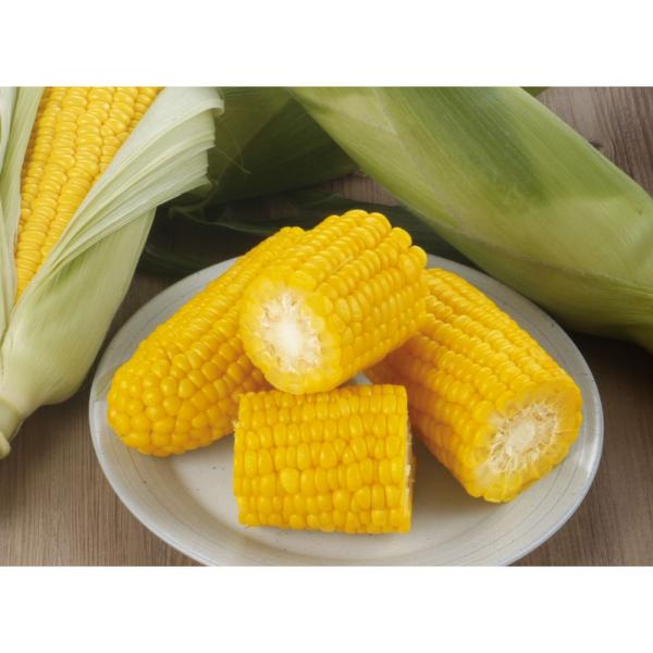 青森産 とうもろこし「嶽きみ（だけきみ）」 8-9本（2.8kg） 【9月上旬頃-お届け】 野菜 果物 ディノス dinos 人気 おしゃれ■知る人ぞ知る「嶽きみ（だけきみ）」とうもろこし青森県・岩木山麓、標高400〜500mにある「嶽高原...