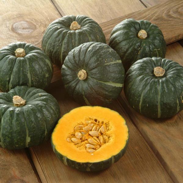 神奈川産 三浦の坊ちゃんかぼちゃ 3kg 【6月中旬頃-お届け】 野菜 果物 ディノス dinos 人気 おしゃれ■甘みが際立つ、愛情たっぷり！三浦の坊ちゃんかぼちゃ土作りからこだわる生産者団体「グループ大地」が、神奈川県三浦半島で丁寧に育...