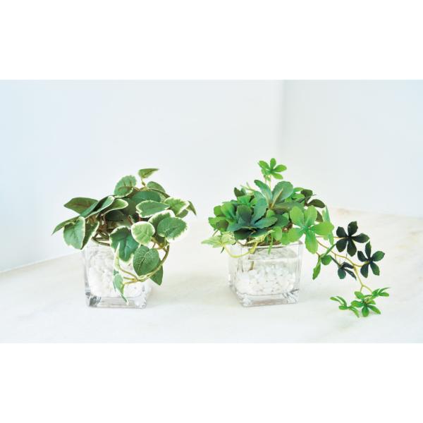ミニグリーン2個セット インテリアグリーン 造花 フェイク 人工観葉植物 ディノス dinos 人気 おしゃれ枯れることがなく、剪定も不要。自分好みの美しいフォルムを保ち続けてくれる上、軽くて移動も簡単でペットにも優しい。そんなフェイクグリ...