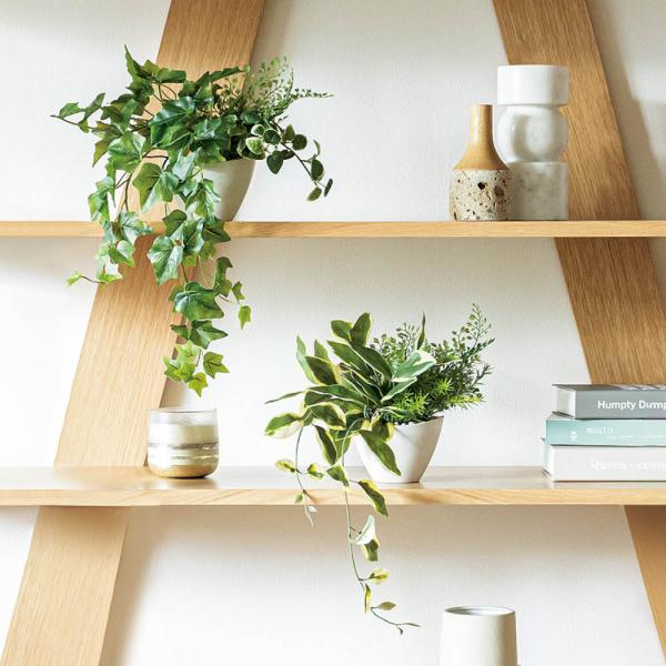 蔓を楽しむインテリアグリーン インテリアグリーン 造花 フェイク 人工観葉植物 ディノス dinos 人気 おしゃれ水やり不要で枯れる心配もなく、手軽に長く楽しめるフェイクグリーンです。3種類のグリーンを寄せ植えすることで生まれる立体感と奥...