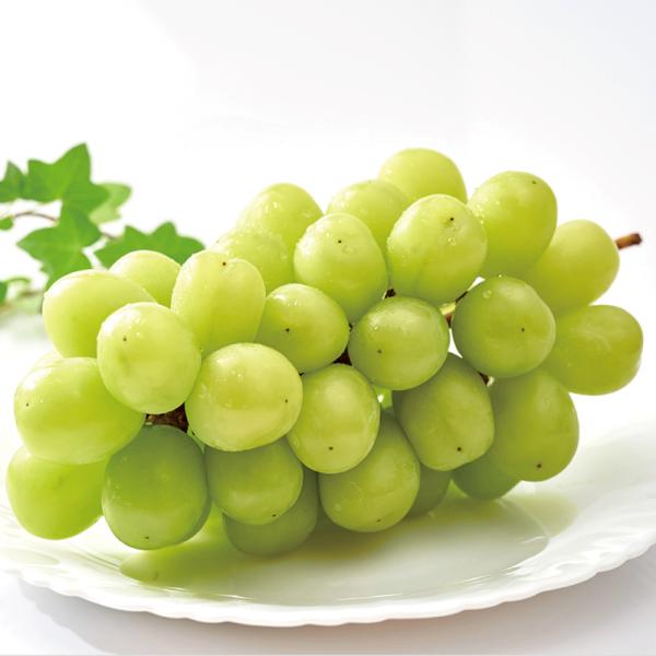 岡山・船穂産 シャインマスカット 「晴王」 1房（600g）【8月中旬頃-お届け】 野菜 果物 フルーツ ディノス dinos 人気 おしゃれ■船穂ぶどう部会がお届けするシャインマスカット「晴王」栽培技術の向上や品質管理に努める生産者団体「...