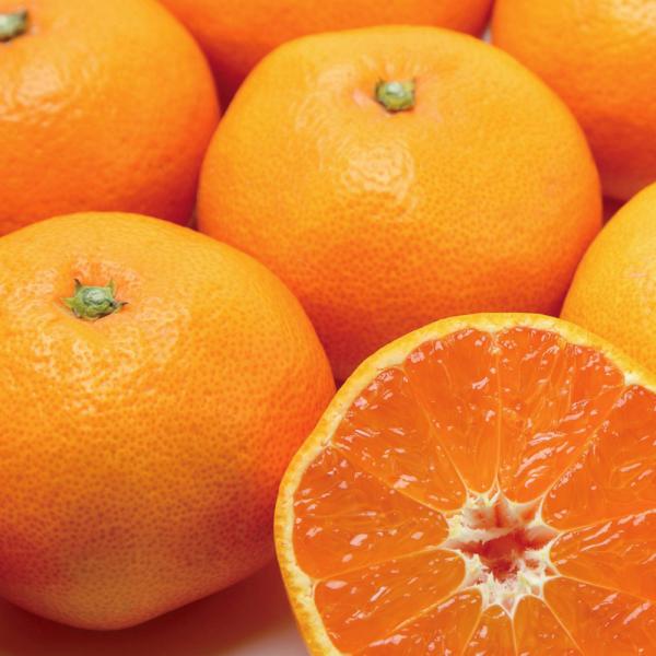 【1月お届け】 静岡産 「三ケ日（みっかび）みかん」 4kg 野菜 果物 フルーツ ディノス dinos 人気 おしゃれ「その季節で一番美味しいものを」をスローガンに、日本一の青果流通量を誇る大田市場より直接仕入れを行う青果専門店「九州屋」...