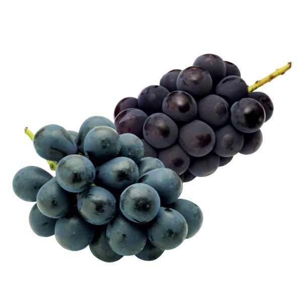 種なしぶどう 2種食べ比べセット 計900g（ナガノパープル・巨峰）【7月上旬頃-お届け】 野菜 果物 フルーツ ディノス dinos 人気 おしゃれ■個性の異なる黒ぶどう2種・皮ごと、贅沢に。黒ぶどうの概念を覆すナガノパープルナガノパープ...