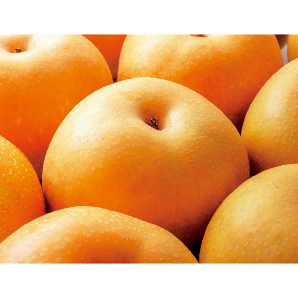 新潟産 「新美月」 2.5kg【9月中旬頃-お届け】 野菜 果物 フルーツ ディノス dinos 人気 おしゃれ■新潟県独自の新品種「新美月」「新美月（しんみづき）」は「おさ二十世紀」と「豊水」を交配して誕生した新潟のブランド梨。「二十世紀...