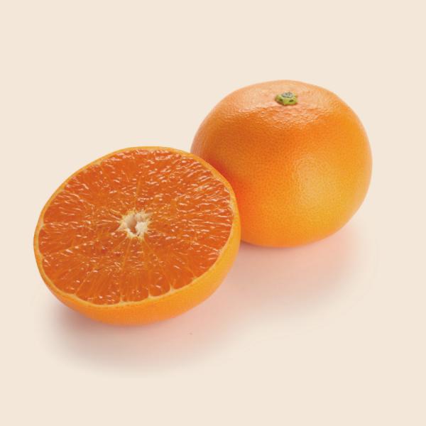 広島産 自然熟 「せとか」 3kg 野菜 果物 フルーツ ディノス dinos 人気 おしゃれ柑橘の高級品種といわれる「せとか」は、その大きさ、食感、食味どれをとっても優れた一品です。簡単に外皮がむけ、薄皮も気にならない舌ざわり。果肉はジュ...