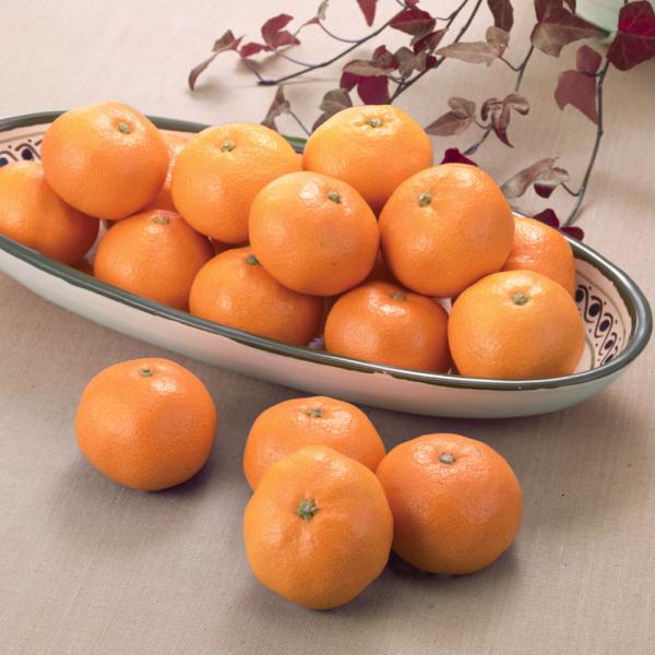 静岡産 「天下糖一（てんかとういつ）」 3kg 野菜 果物 フルーツ ディノス dinos 人気 おしゃれJAとぴあ浜松「青島みかん」の中から、栽培方法・栽培途中の糖度測定など、高糖度にこだわって厳選した最高級ブランド「天下糖一」。光センサ...