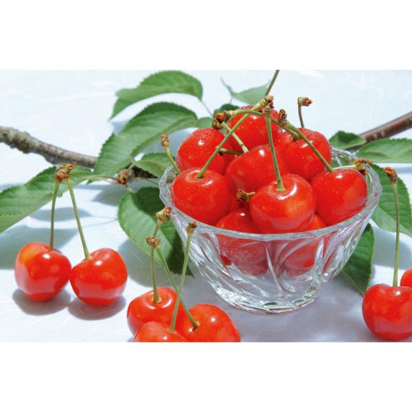 山形産 「佐藤錦」 200g×3【6月上旬頃-お届け】 野菜 果物 フルーツ ディノス dinos 人気 おしゃれ■「山形の農家の未来を考える協議会」、こだわりの「葉とらず」栽培の「佐藤錦」植物生理を知り尽くした若きリーダー・高橋彦太会長率...