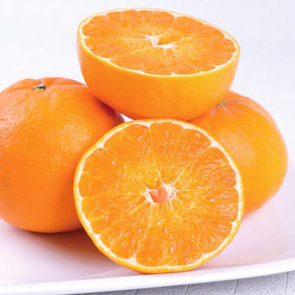 佐賀産「にじゅうまる」2.5kg【3月上旬-3月下旬お届け】 野菜 果物 フルーツ ディノス dinos 人気 おしゃれ■佐賀県が誇るブランド柑橘「にじゅうまる」令和3年にデビューしたばかりの「にじゅうまる」は佐賀県が20年以上の月日をかけ...