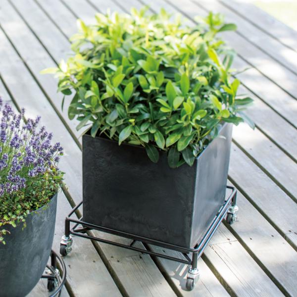 アートストーンプランター 頑丈キャスター付き キューブL プランター 植木鉢 鉢カバー ディノス dinos 人気 おしゃれ【アートストーンプランター 】ストーンパウダーを混ぜ込んだ樹脂製。素材感たっぷりなのに、片手でひょいっと持ち上げられ...