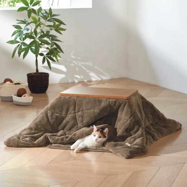 ヒートループ（R）でつくったペット用こたつ 3点セット（本体＋掛け・敷き布団） 生活雑貨 便利グッズ 日用品 ディノス dinos 人気 おしゃれ大切なペットに寒い思いをさせない、dinosの大ヒット寝具「ヒートループ（R）」素材で作ったあ...